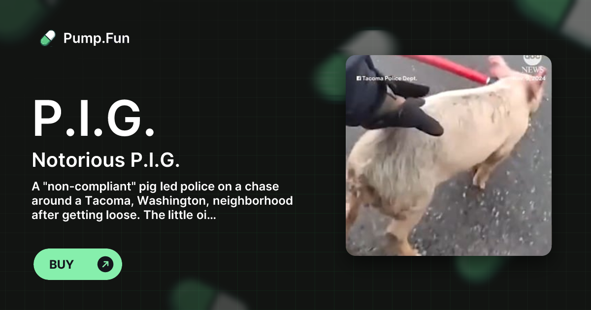 Notorious P.I.G. (P.I.G.) - Pump