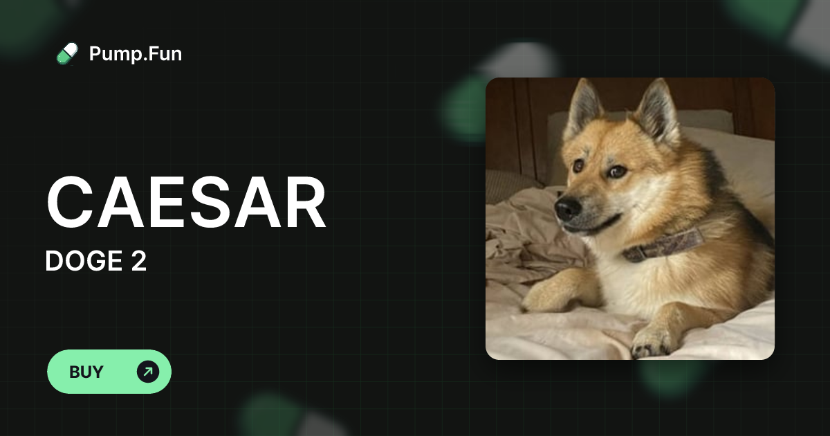 DOGE 2 (CAESAR) - Pump