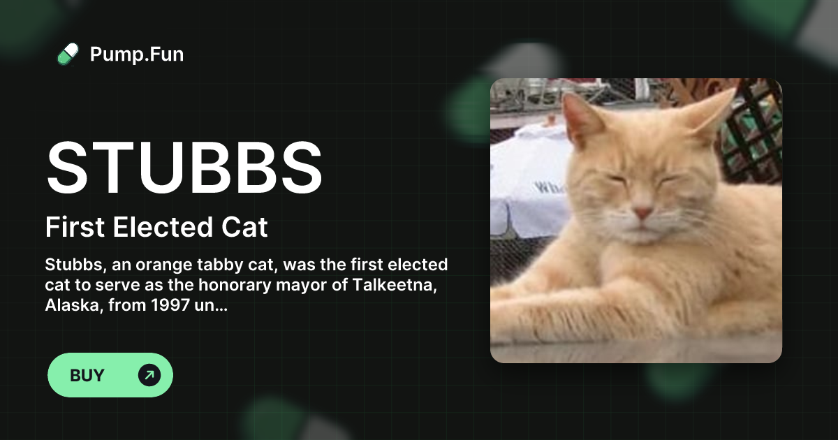 First Elected Cat (STUBBS) - Pump