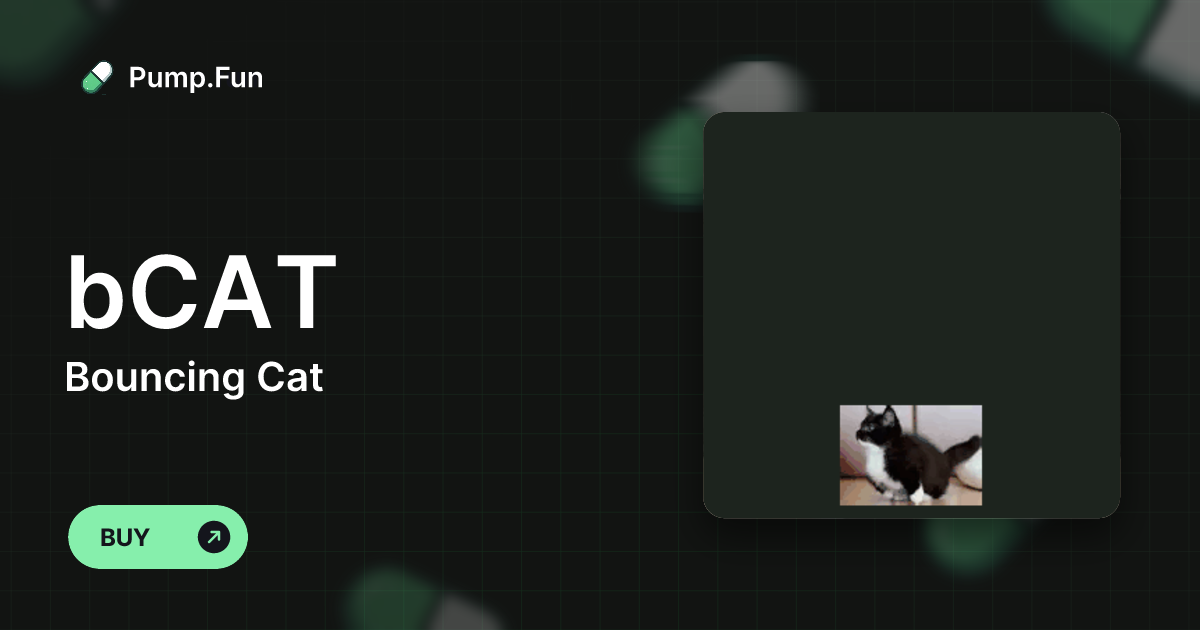 Bouncing Cat (bCAT) - Pump