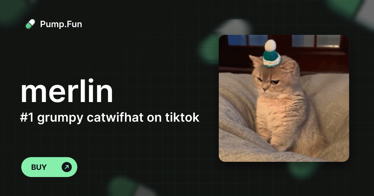 #1 grumpy catwifhat on tiktok (merlin) - Pump