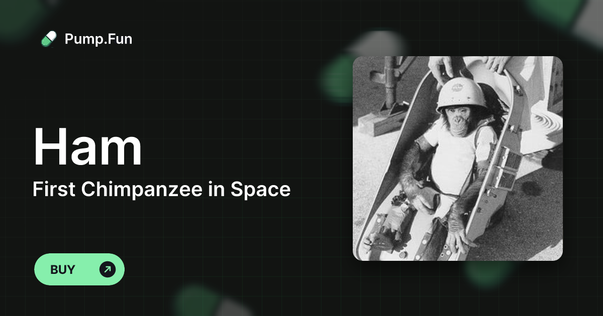 First Chimpanzee in Space (Ham) - Pump