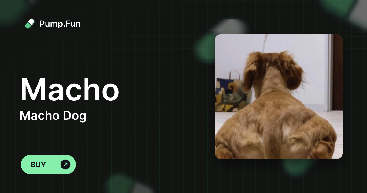 Macho Dog (Macho) - Pump