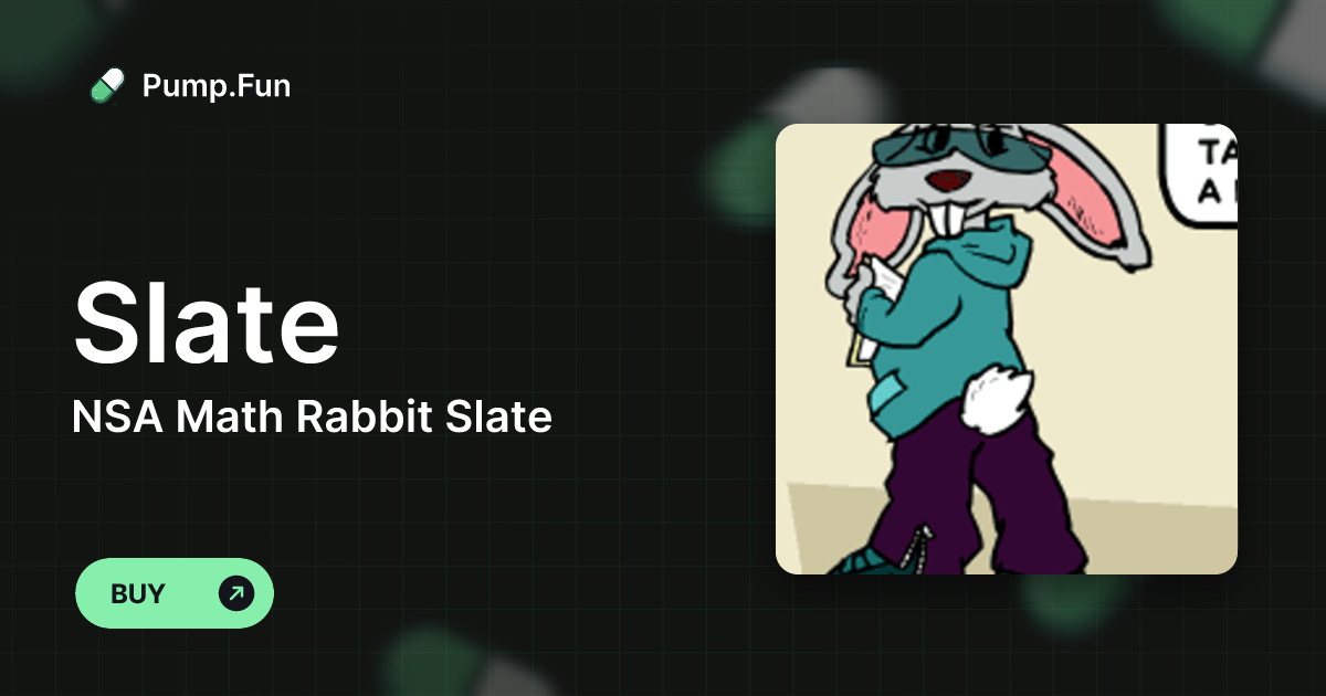 NSA Math Rabbit Slate (Slate) - Pump