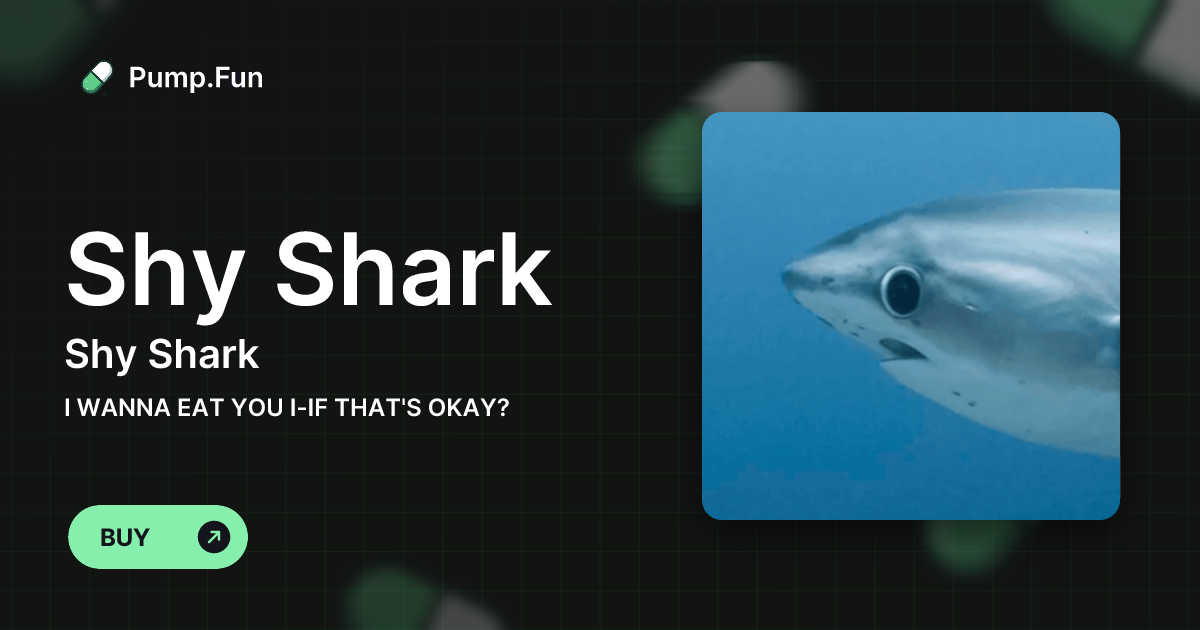 Shy Shark (Shy Shark) - Pump