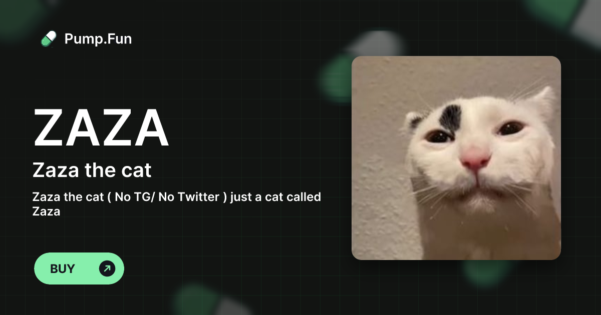 Zaza the cat (ZAZA) - Pump