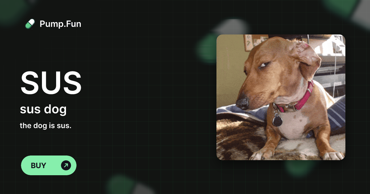 sus dog (SUS) - Pump