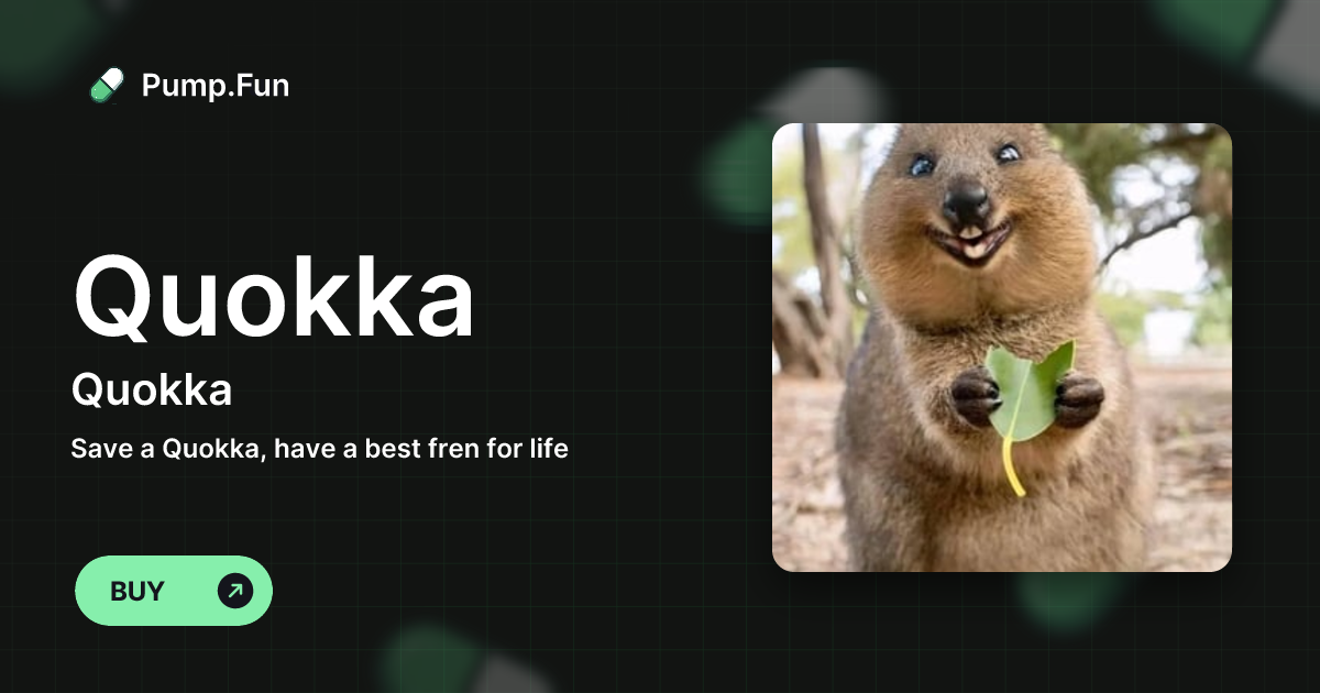 Quokka (Quokka) - Pump