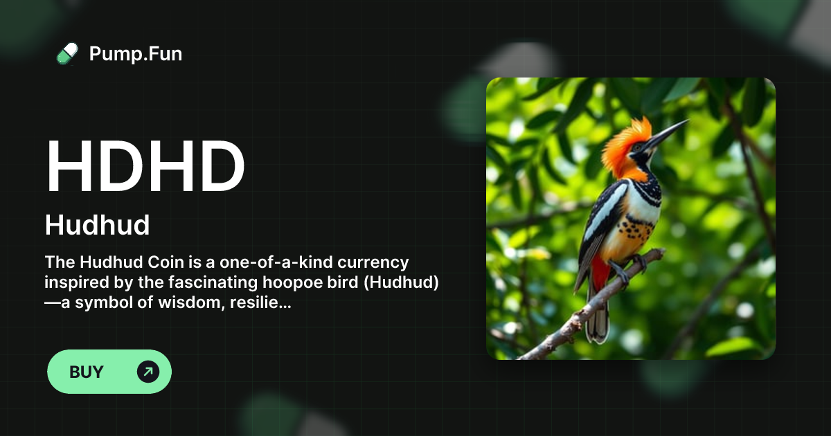 Hudhud (HDHD) - Pump