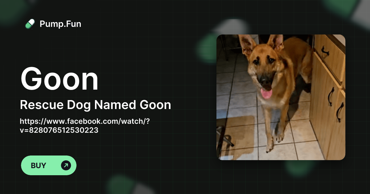 Rescue Dog Named Goon (Goon) - Pump