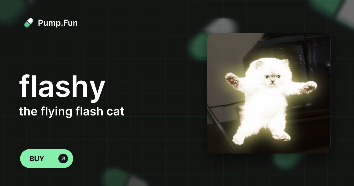 the flying flash cat (flashy) - Pump
