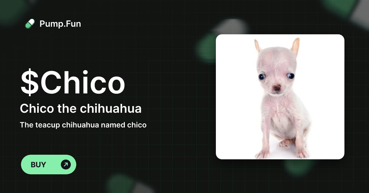 Chico the chihuahua ($Chico) - Pump