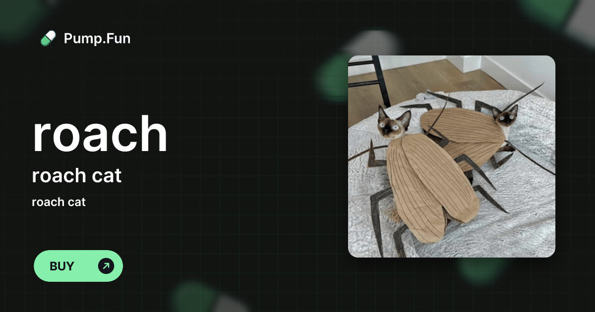roach cat (roach) - Pump