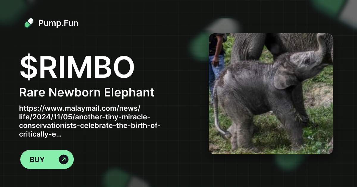 Rare Newborn Elephant ($RIMBO) - Pump