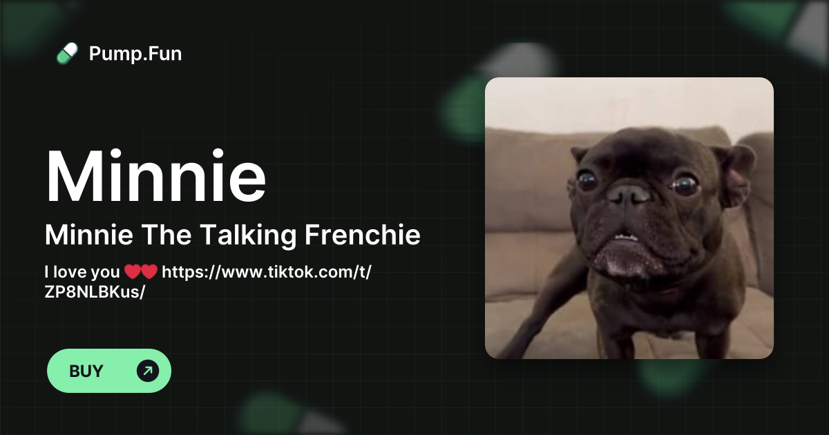 Minnie The Talking Frenchie (Minnie) - Pump
