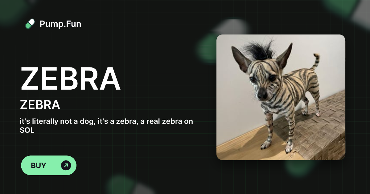 ZEBRA (ZEBRA) - Pump