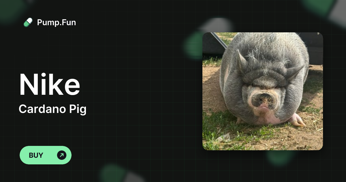 Cardano Pig (Nike) - Pump