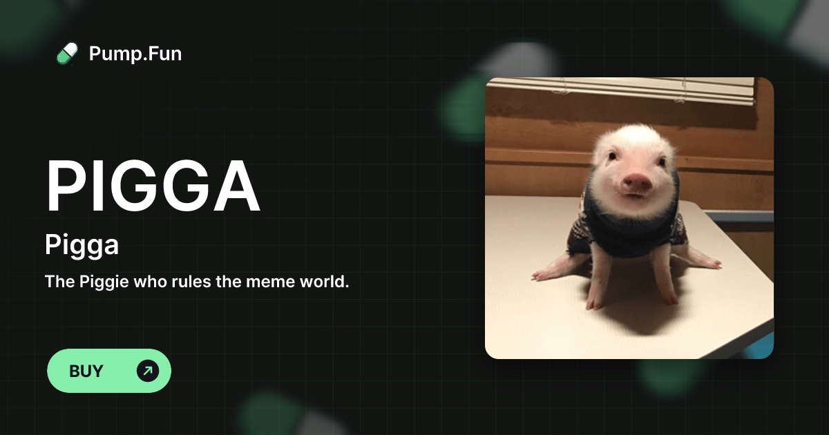 Pigga (PIGGA) - Pump