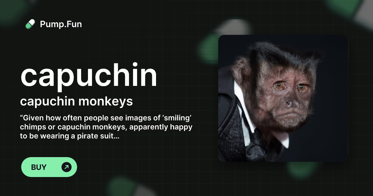 capuchin monkeys (capuchin) - Pump