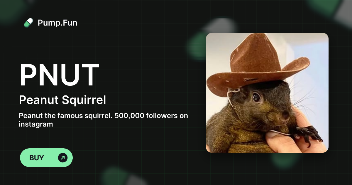 Peanut Squirrel (PNUT) - Pump