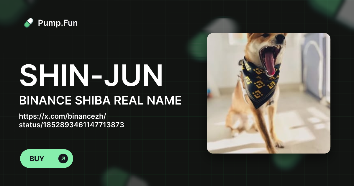 BINANCE SHIBA REAL NAME (SHIN-JUN) - Pump