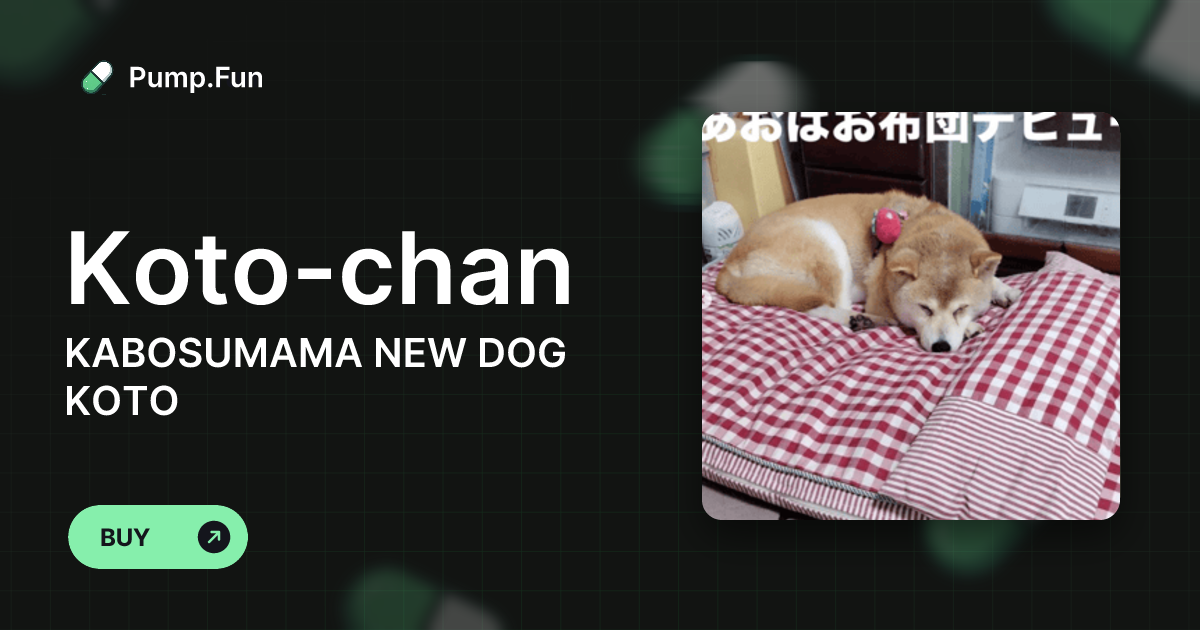 KABOSUMAMA NEW DOG KOTO (Koto-chan) - Pump
