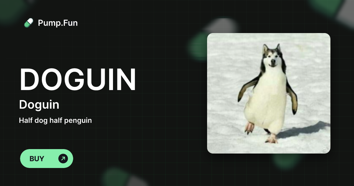 Doguin (DOGUIN) - Pump