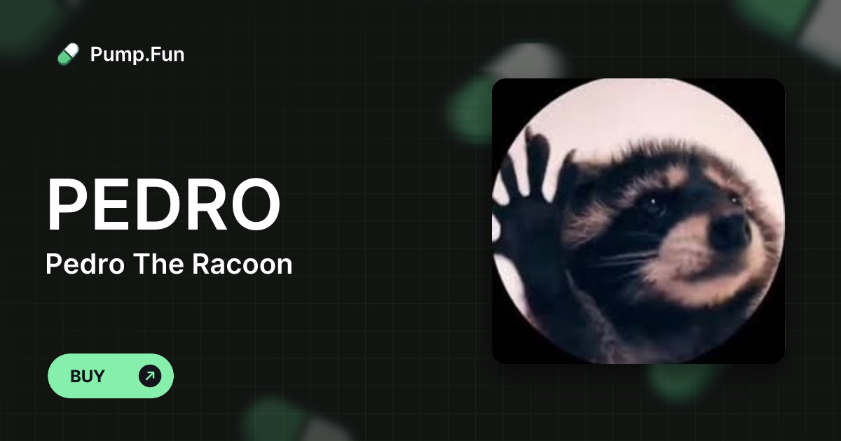 Pedro The Racoon (PEDRO) - Pump