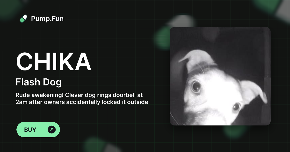 Flash Dog (CHIKA) - Pump