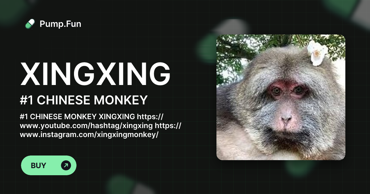 #1 CHINESE MONKEY (XINGXING) - Pump