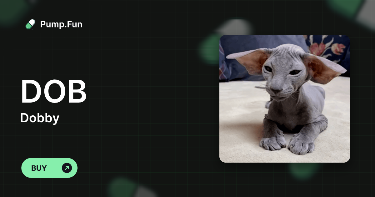 Dobby (DOB) - Pump