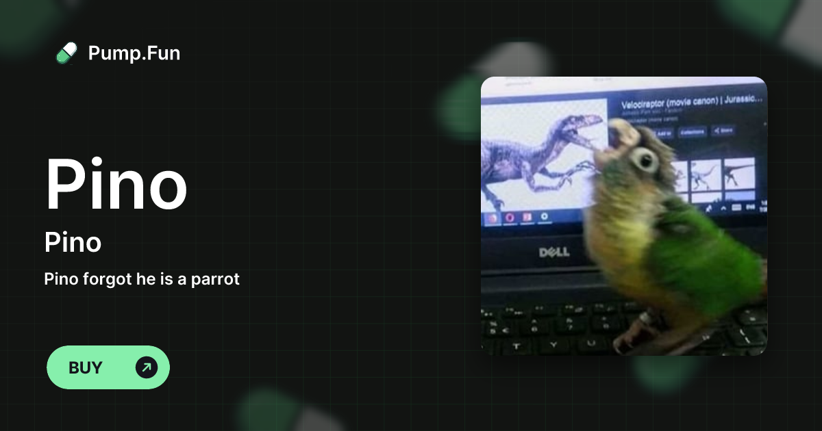 Pino (Pino) - Pump