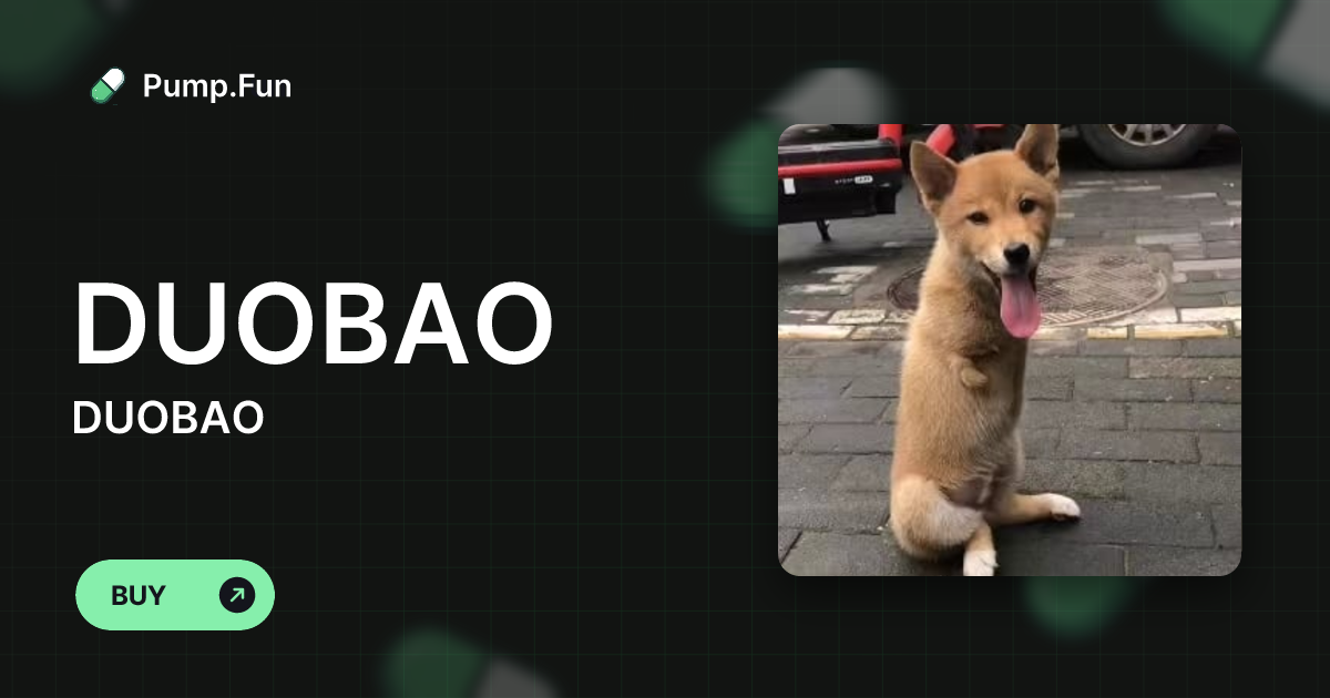 DUOBAO (DUOBAO) - Pump