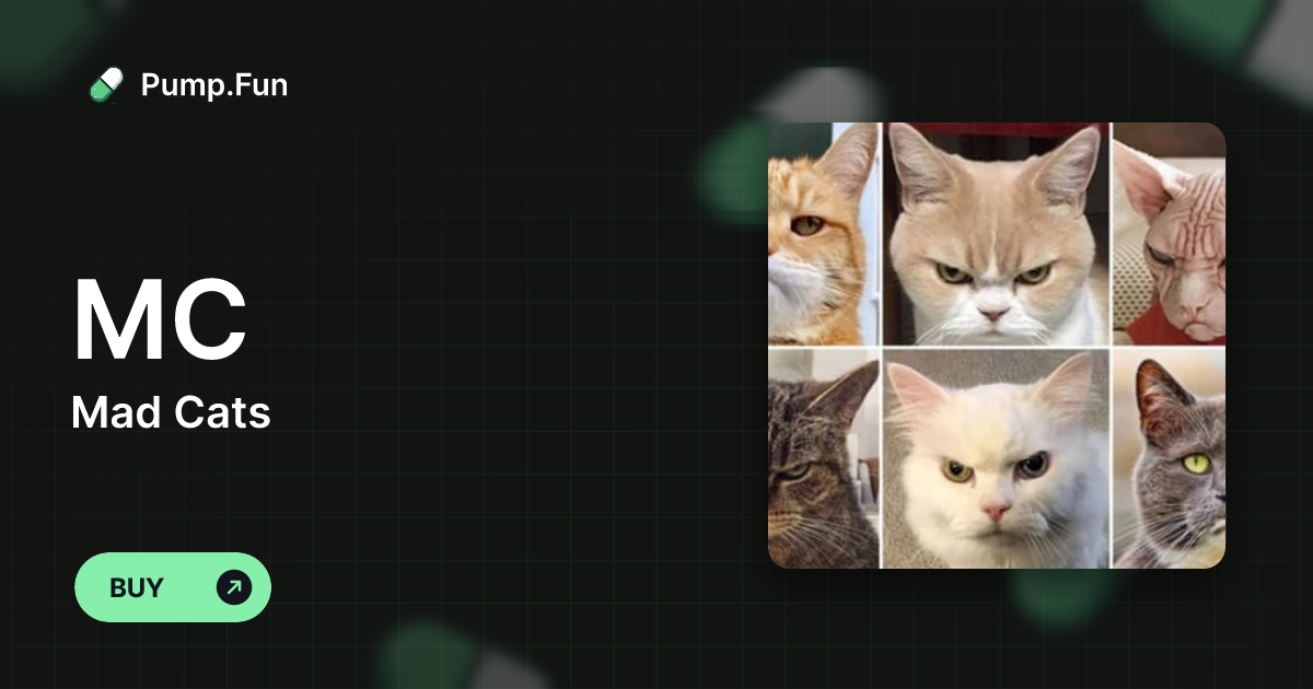 Mad Cats (MC) - Pump