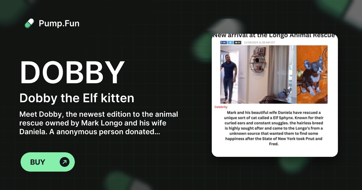 Dobby the Elf kitten (DOBBY) - Pump