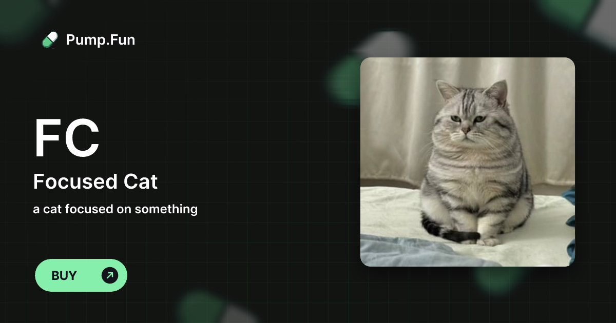 Focused Cat (FC) - Pump