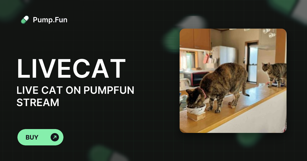LIVE CAT ON PUMPFUN STREAM (LIVECAT) - Pump