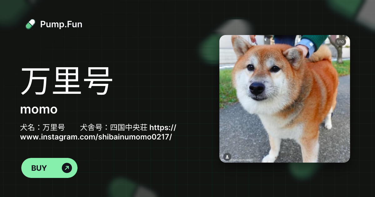 momo (万里号) - Pump