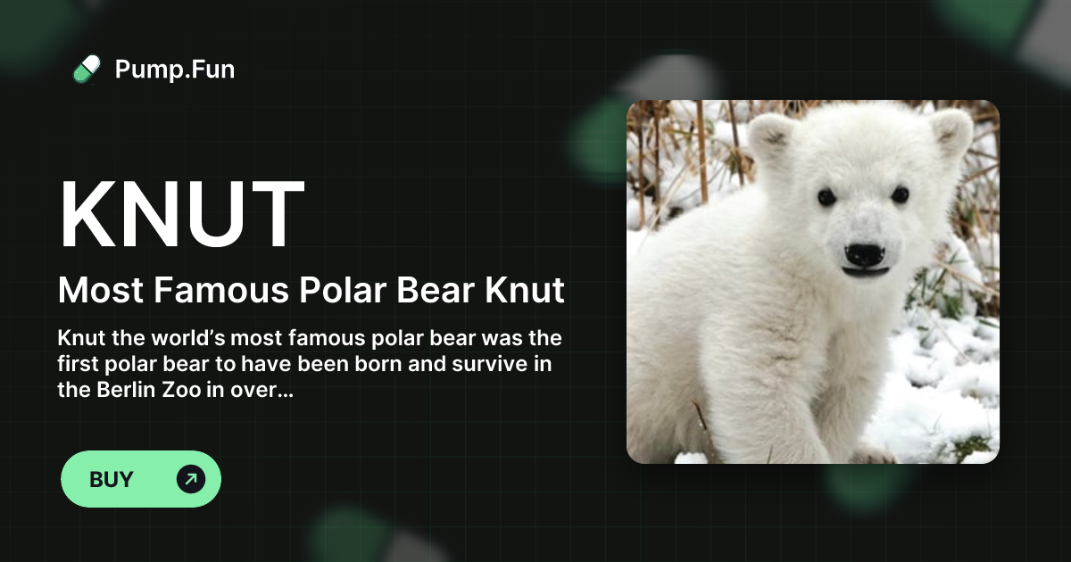 Most Famous Polar Bear Knut (KNUT) - Pump