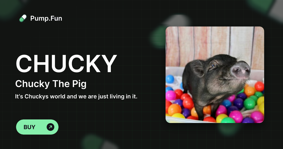 Chucky The Pig (CHUCKY) - Pump