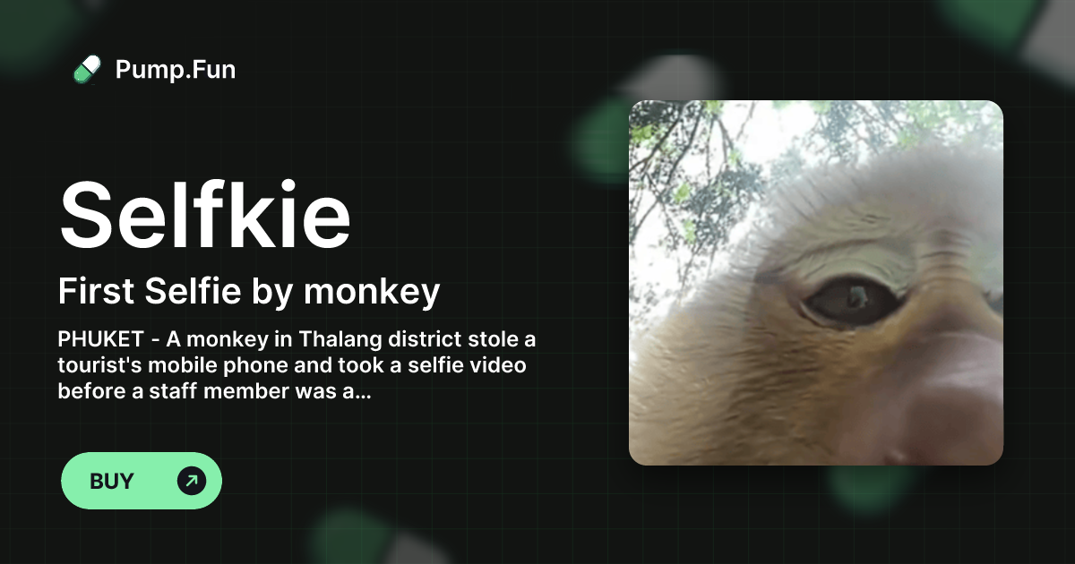 First Selfie by monkey (Selfkie) - Pump