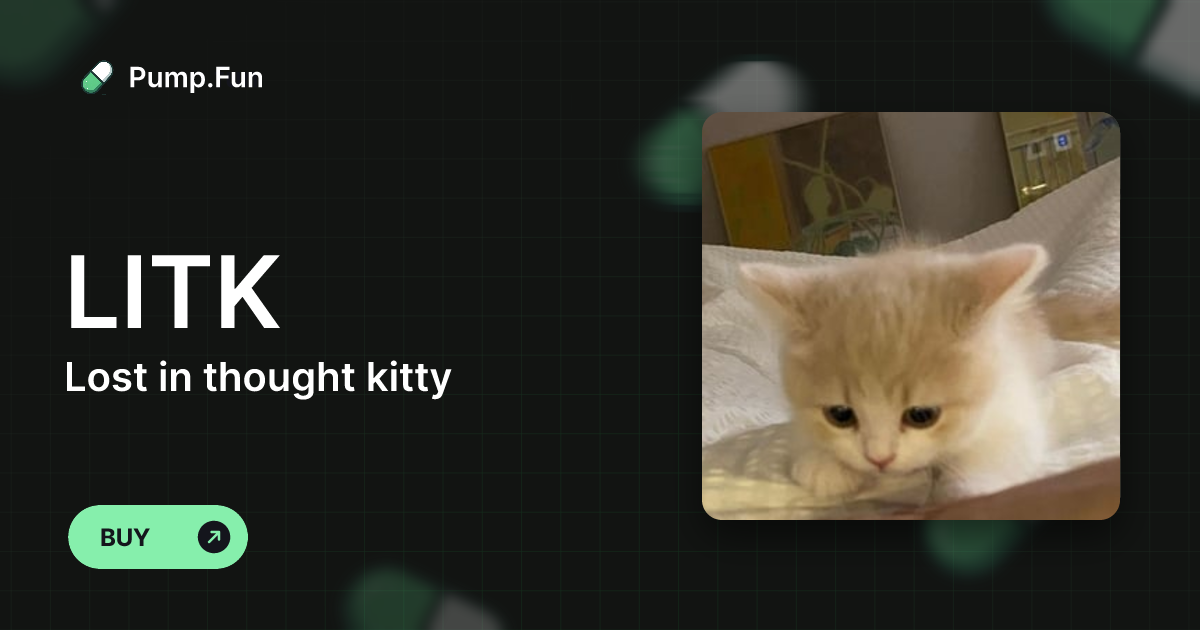 Lost in thought kitty (LITK) - Pump