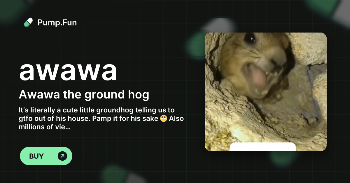 Awawa the ground hog (awawa) - Pump