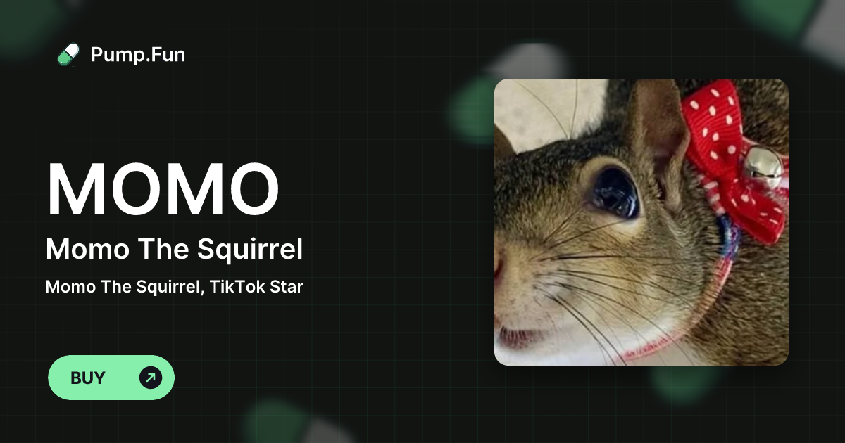 Momo The Squirrel (MOMO) - Pump