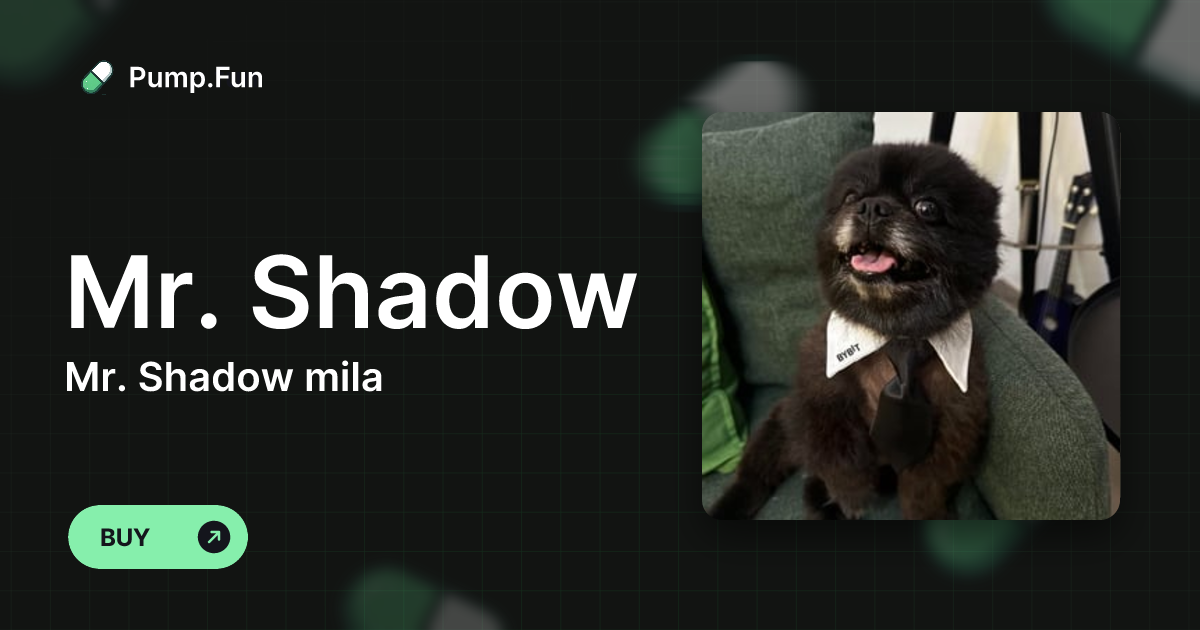 Mr. Shadow mila (Mr. Shadow) - Pump