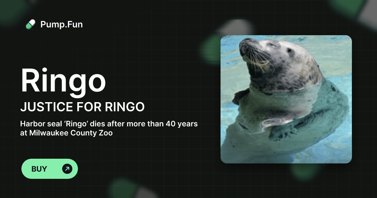 JUSTICE FOR RINGO (Ringo) - Pump