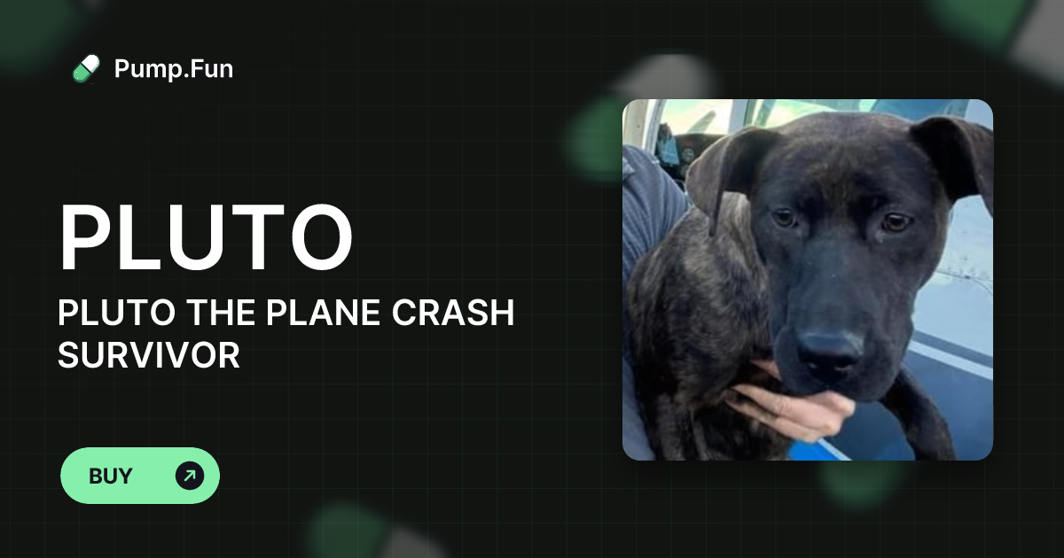 PLUTO THE PLANE CRASH SURVIVOR (PLUTO) - Pump