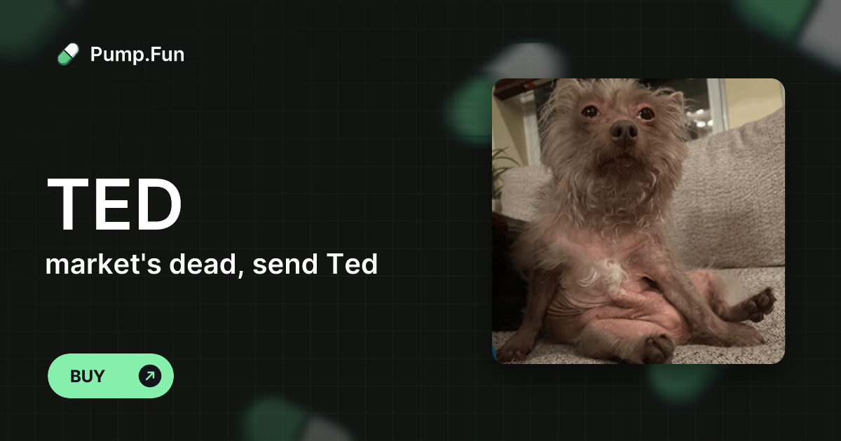market's dead, send Ted (TED) - Pump