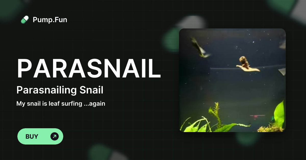 Parasnailing Snail (PARASNAIL) - Pump