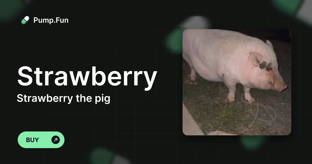 Strawberry the pig (Strawberry) - Pump
